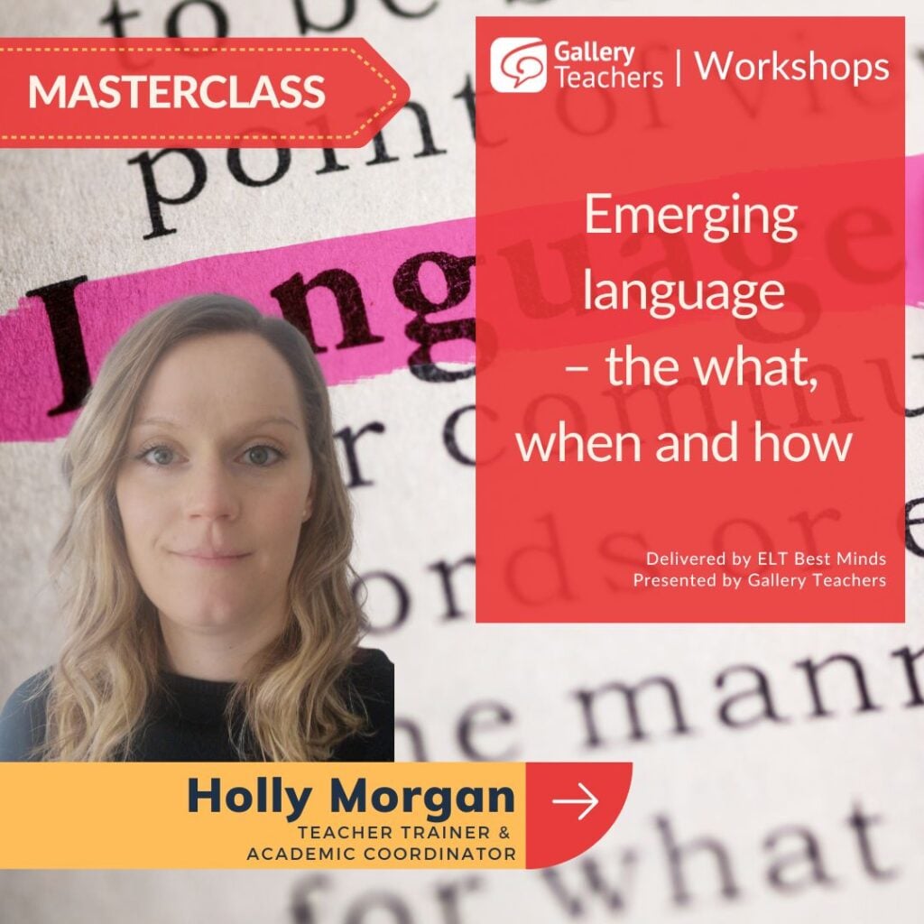 ELT Workshops for English Teacher and TEFL Learner - Gallery Teachers