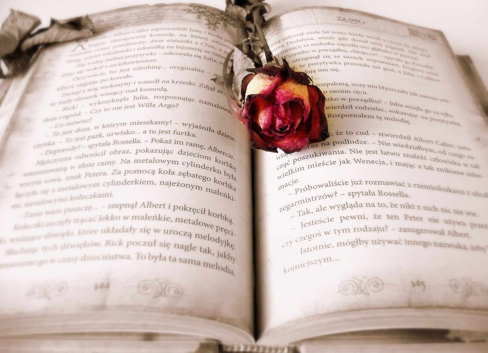 The Importance Of Teaching English Through The Use Of Literature the-importance-of-teaching-english-through-the-use-of-literature